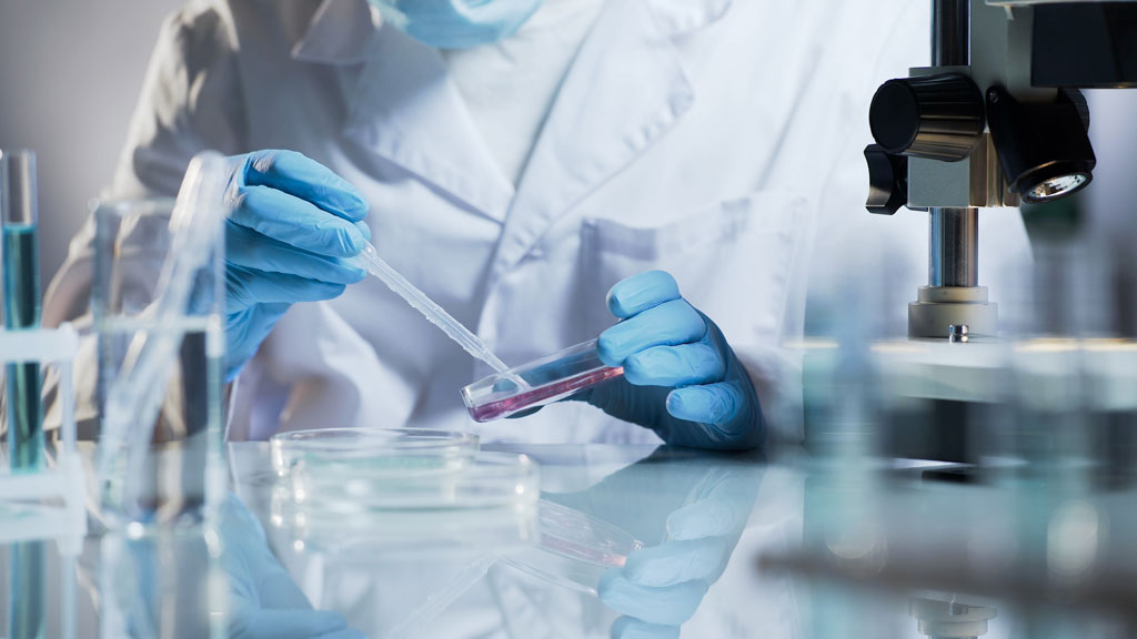 Team - Atalan: Access to Access Lab Network